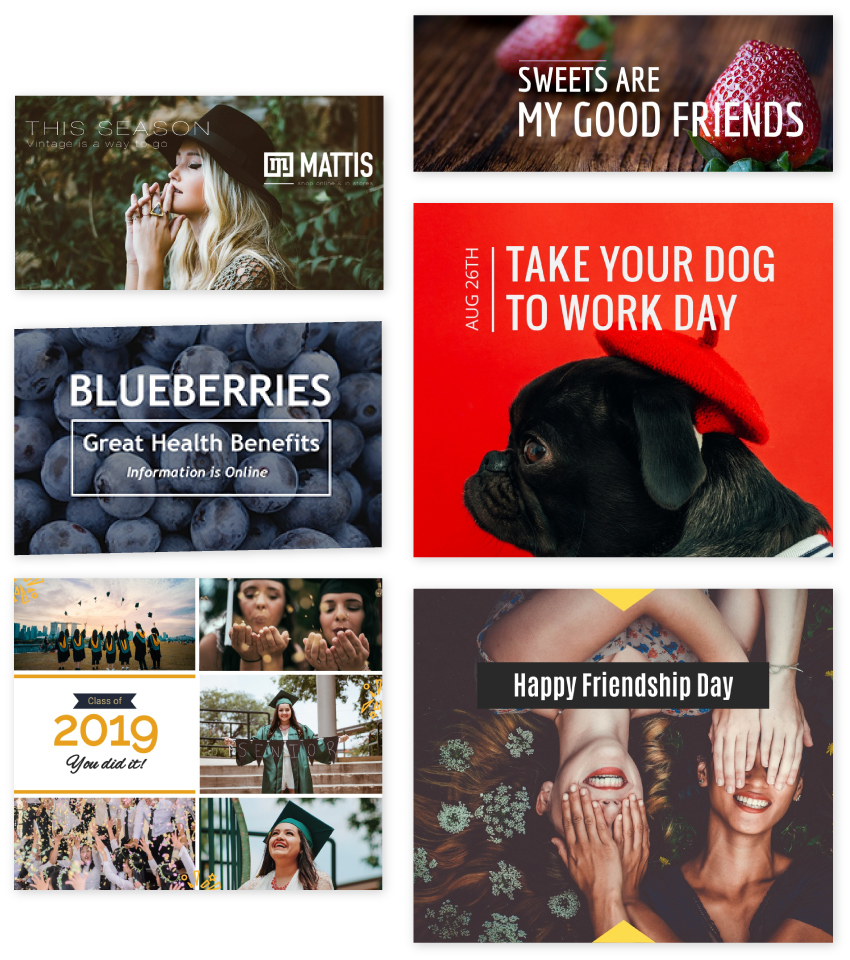 Create Stunning Social Media Graphics for Free | Visme