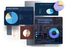 Free Pie Chart Maker - Create Your Own Pie Graphs with Visme