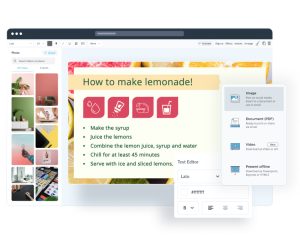 Creatore di Flashcard Online Gratuito | Visme