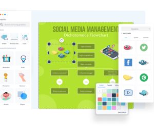 Free Dichotomous Key Maker | Create Dichotomous Keys | Visme