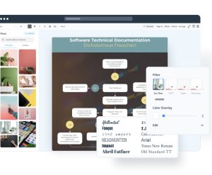 Free Dichotomous Key Maker | Create Dichotomous Keys | Visme
