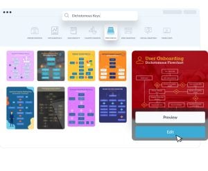 Free Dichotomous Key Maker | Create Dichotomous Keys | Visme