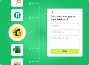 Online Feedback Form Creator: Create Feedback Forms Free | Visme