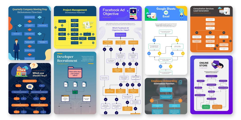 Free Dichotomous Key Maker | Create Dichotomous Keys | Visme